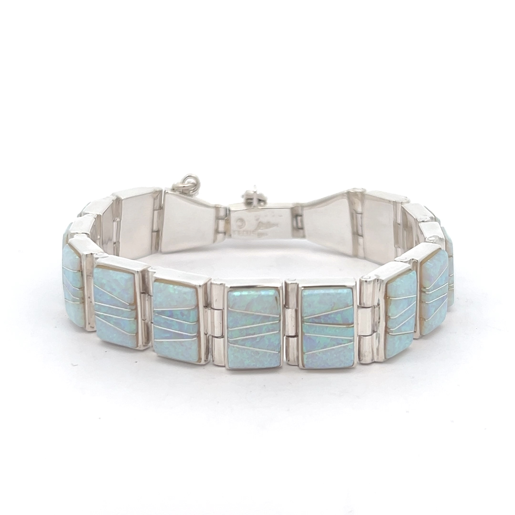 Treasures of the Southwest: Calvin Begay Fire and Ice White Opal ...